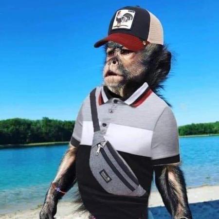 Daniel21dev Daniel Github