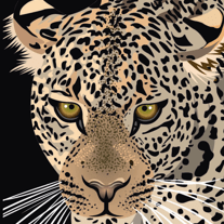 Github Hammer Ux Full Stack Web Project The Technology Stack - Beautiful Vintage Background - HD