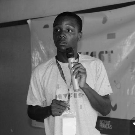 Icanbewill Mr Wilfrand Github