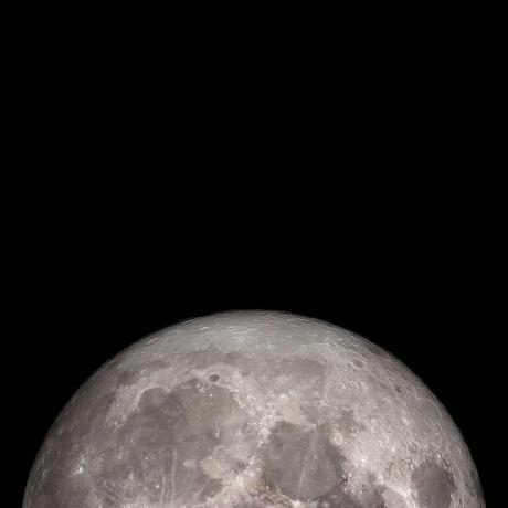 Zltngera Yao Zelin Github