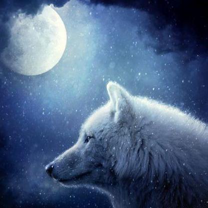 White Wolf Tech Biały Wilk Github