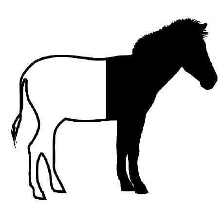 Defraggedzebra Github