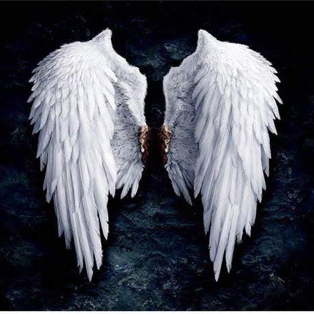 Ranjith7022 Ranjith Github