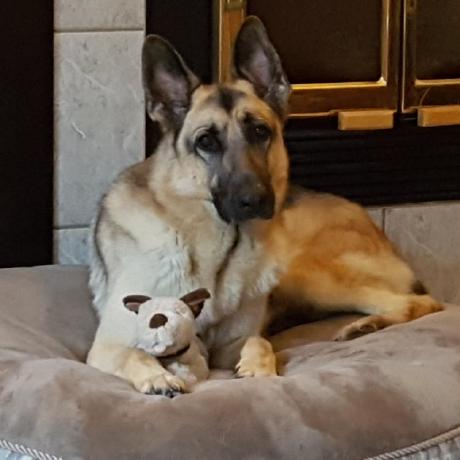 Doprez Github - Desktop Minimal Photos for Desktop