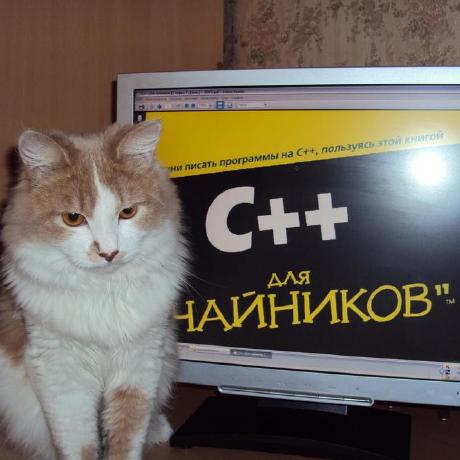 Brusn Mikhail Brusnikin Github