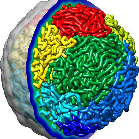Structural And Functional Genomics Laboratory Github