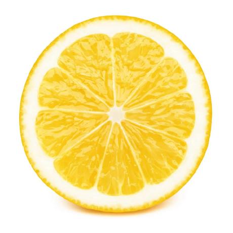 Lemonsis Congchi Yin Github