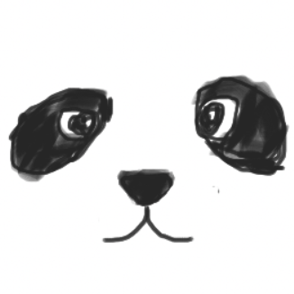 Panda 1010 Panda Wong Github