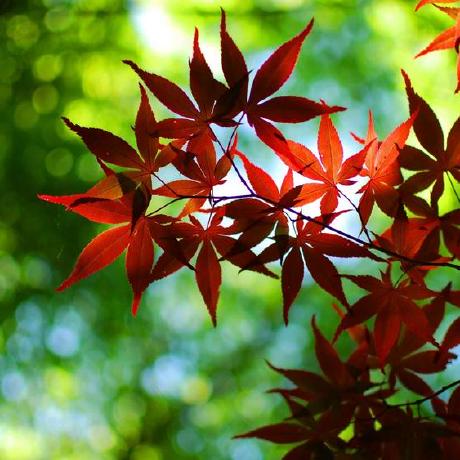 Gowtham 75 Gowtham R Github