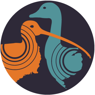 Echoes Project Github