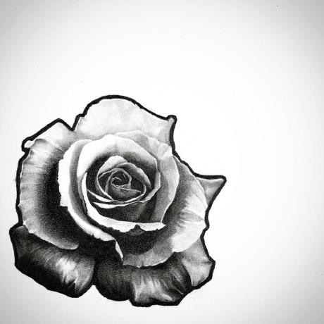 Cam Berger Cameron M Berger Github