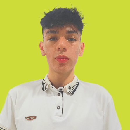 Github Daprionil Pi Dogs - Desktop Sunset Wallpapers for Desktop