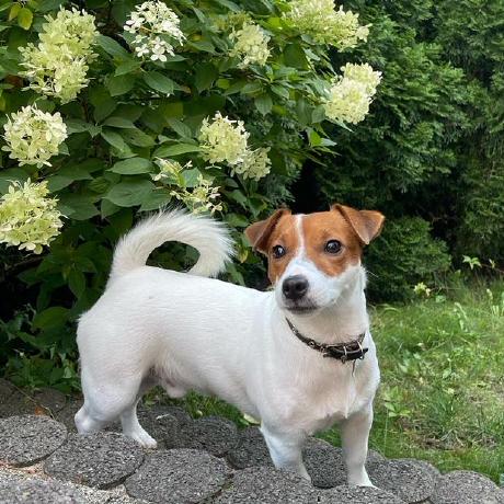 Veka Server Veka Github - Professional Mobile Space Images | Free Download