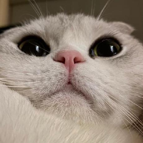 Haruka Aibara Github