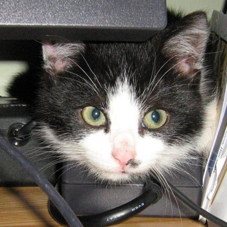 Ibc Userguide Md At Master Ibcalpha Ibc Github - Download Incredible Sunset Design | 8K