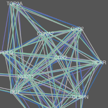 Github Keiono D3 Layout Sample Sample Code For D3 Js Layouts