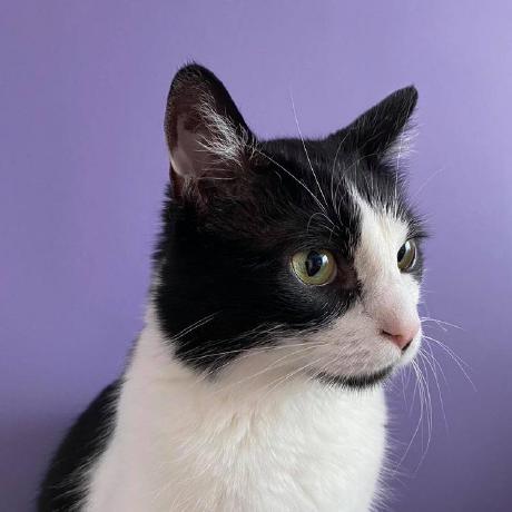 Flowbartek93 Bartek Ostrowski Github