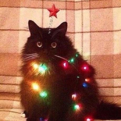 Mattb Programmer Matteo Beltrami Github