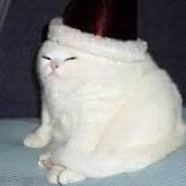 Aaron Bruner Aaron Bruner Github - Desktop Minimal Pictures for Desktop