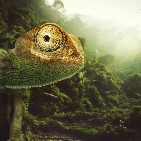 Pan Jh Pan Jh Github