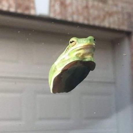 Emre Hub Emre Github