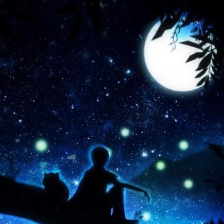 Jzx My Jing Zongxin Github