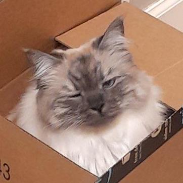 Grong0 Garrettt Github