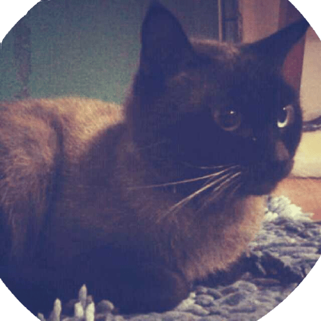 二猫软件工作室 Two Cats Software Organization Github