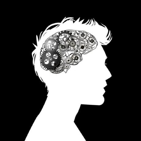 Elvin2003 Elvin Allahverdiyev Github