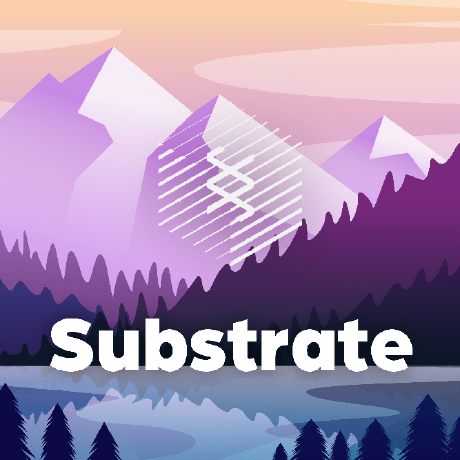 Substrate Runtime Developer Academy Github
