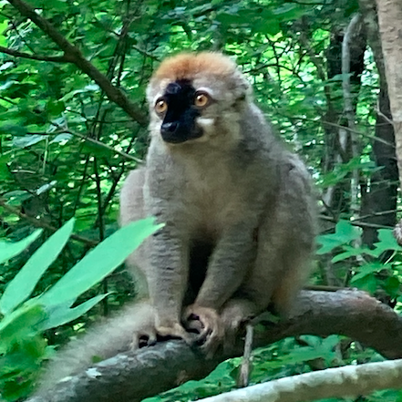 Nwstetson Noah Stetson Github