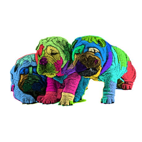 Marcucci David Marcucci Github - Best Vintage Pictures in Retina