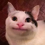 Devenpaul Deven Paul Github