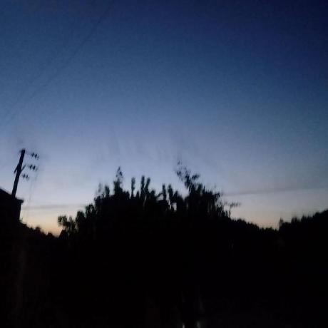 Litter Walker Litter Walker Github