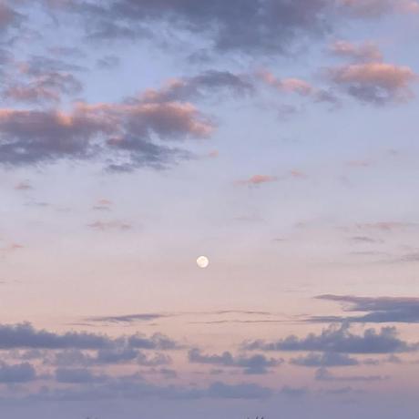 Mariahpickett Mariah Github