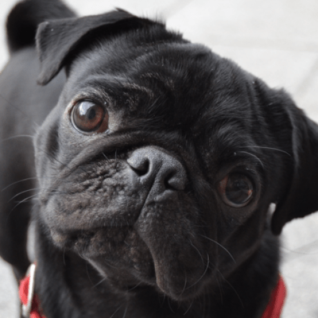 Github Lmenezes Cerebro - Premium City Art - Ultra HD