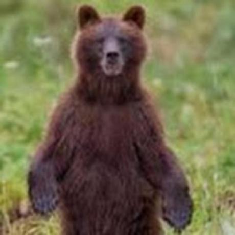 Carterthecoder Carter Github