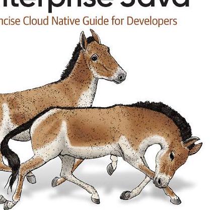Modernizing Enterprise Java Book Github