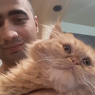 Behnam Io Behnam Aboutalebi Github