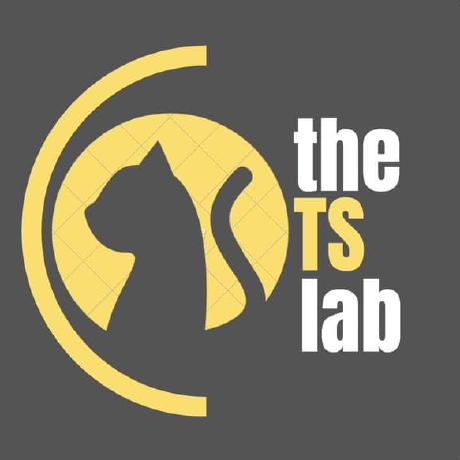 The Cats Lab Github