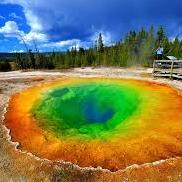 Firestone X Firestone X Github