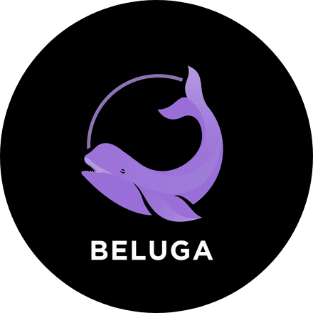 Beluga Fi Github