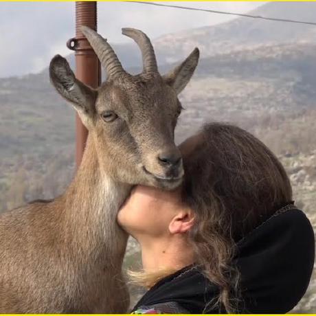 Anaconda Test Adam Won Github