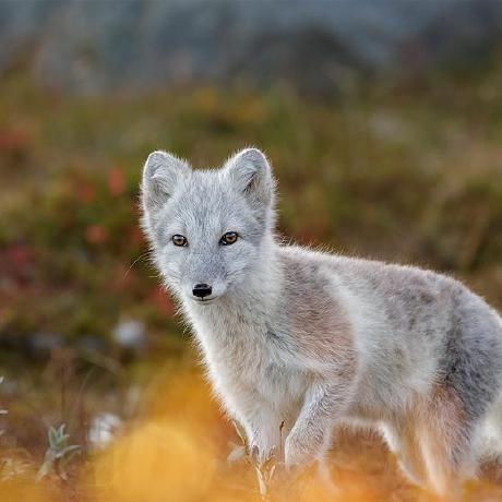 Wbmatti Matti Github - Download Ultra HD Dark Wallpaper | HD