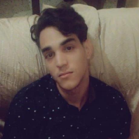 Joaquinns Joaquin Github