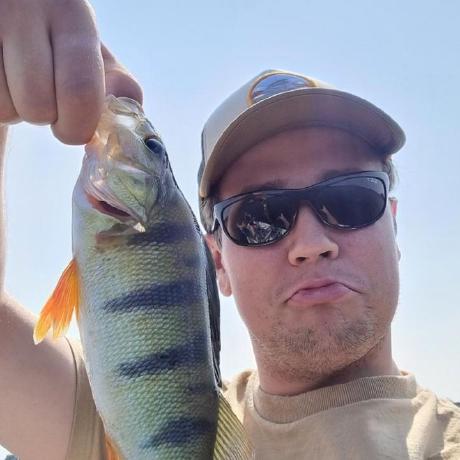 Apexlindgren Noel Lindgren Github