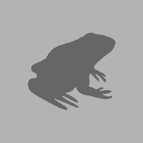 Quackable Team Github