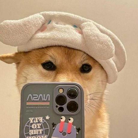 Buithanhdam Damthanh Github