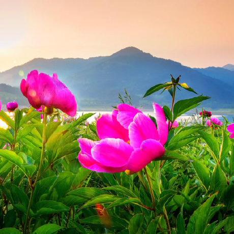 Malay149 Thet Hmu San Github