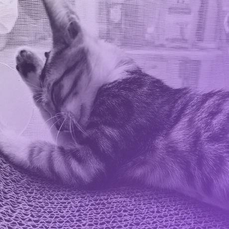 Chenelias Eliaschen Github